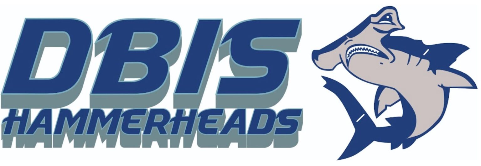 Activities & Trips – DBIS Hub